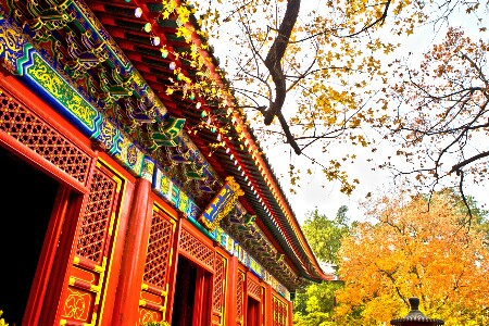 Fragrant Hills Park, Beijing Attractions, What To See In Beijing