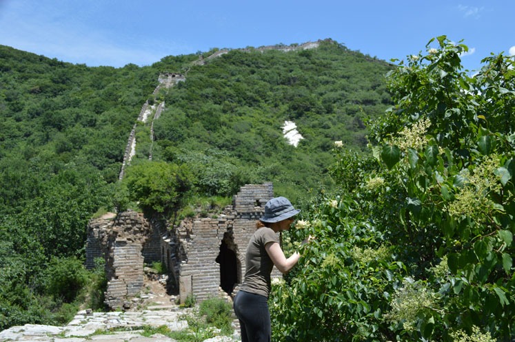 Jiankou Great Wall - The Wall Built on Cliffs