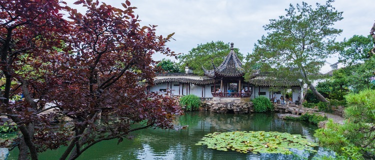 Suzhou's Exquisite Gardens Tour