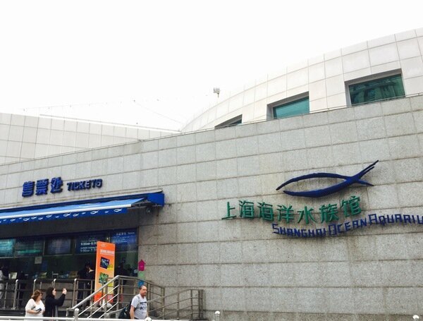 Shanghai Ocean Aquarium: Most Important Tips to Visit