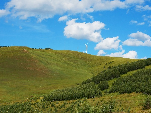 Fengning Grassland