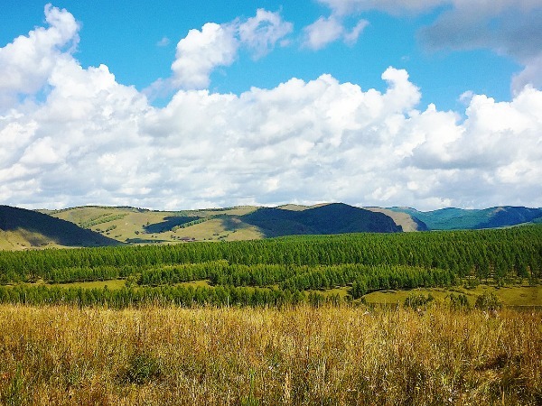 Saihanba National Forest Park