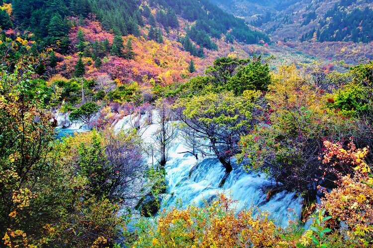3-Day Jiuzhai Valley Fairyland Tour from Chengdu
