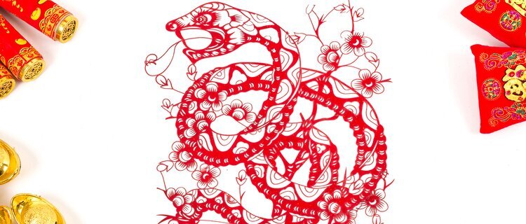 Chinese Zodiac 1989. Earth Snake, Personalities and Horoscope Chinese Zodiac 1989. Earth Snake, Personalities and Horoscope